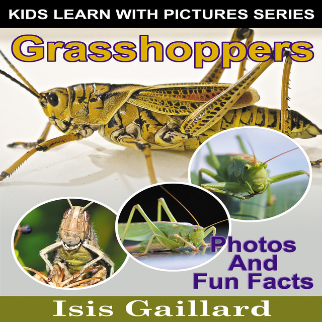 Grasshoppers: Photos and Fun Facts for Kids | Audiobook on Spotify