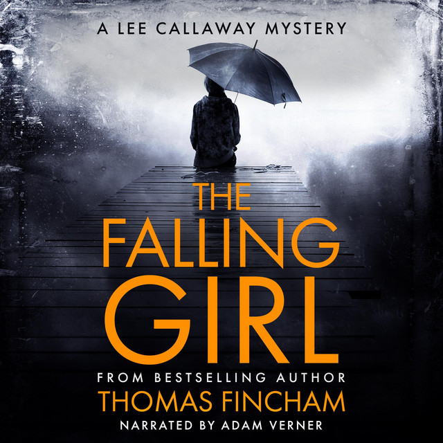 The Falling Girl: A Private Investigator Mystery Series of Crime and ...
