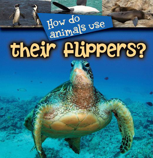 how-do-animals-use-their-flippers-audiobook-on-spotify
