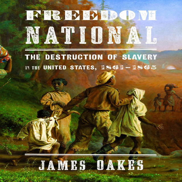 Freedom National: The destruction of Slavery in the United States, 1861 ...