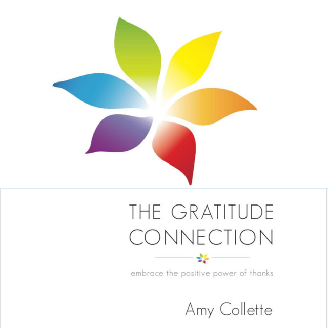 The Gratitude Connection: Embrace the positive power of thanks ...