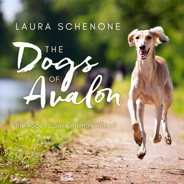 The Dogs of Avalon: The Race to Save Animals in Peril | Audiobook on ...