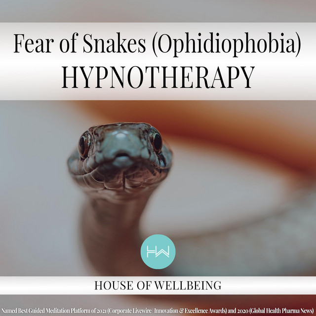 Fear of Snakes (Ophidiophobia) | Audiobook on Spotify