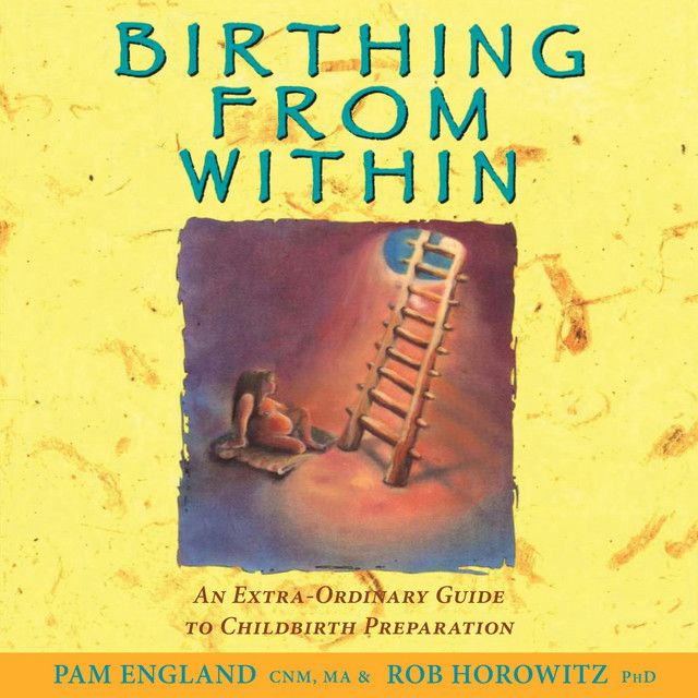 Birthing from Within: An Extra-Ordinary Guide to Childbirth Preparation ...