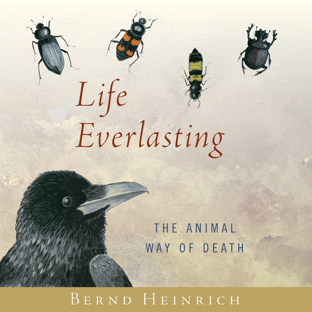 Life Everlasting: The Animal Way of Death | Audiobook on Spotify