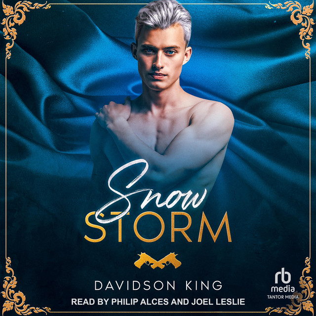 Snow Storm | Audiobook on Spotify