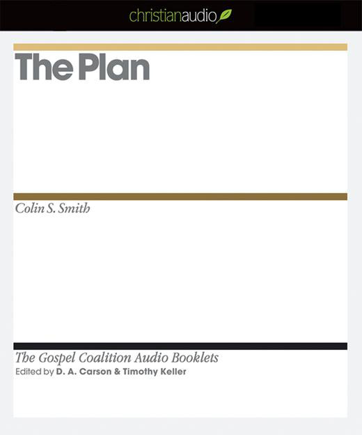 The Plan | Audiobook on Spotify