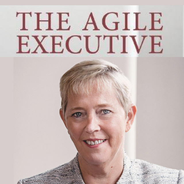 The Agile Executive: Embracing Career Risks and Rewards | Audiobook on ...