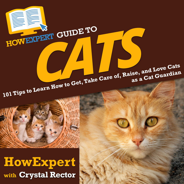 HowExpert Guide to Cats: 101 Tips to Learn How to Get, Take Care of ...