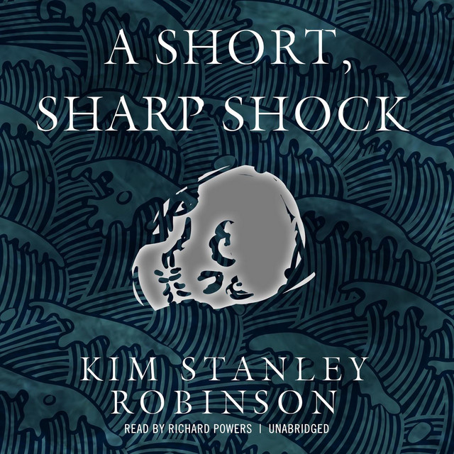 A Short, Sharp Shock | Audiobook on Spotify