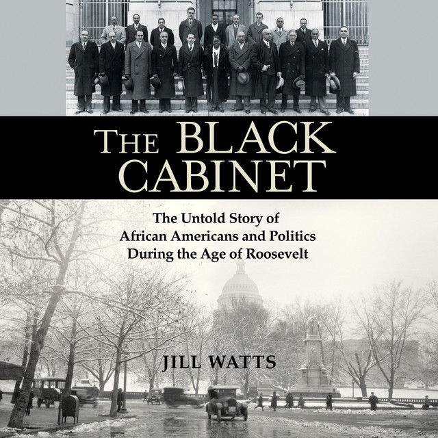 The Black Cabinet: The Untold Story of African Americans and Politics ...