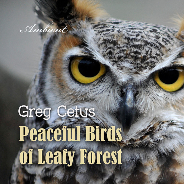 Peaceful Birds of Leafy Forest: Ambient Sounds for Relaxation and Focus ...