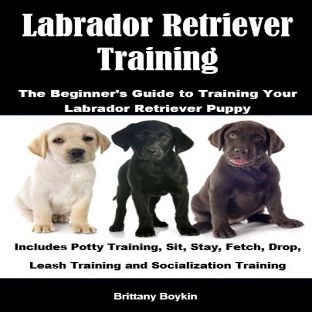 Labrador Retriever Training: The Beginner’s Guide to Training Your ...