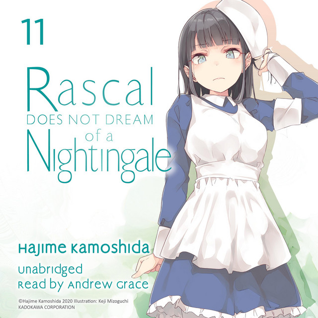 Rascal Does Not Dream of a Nightingale | Audiobook on Spotify