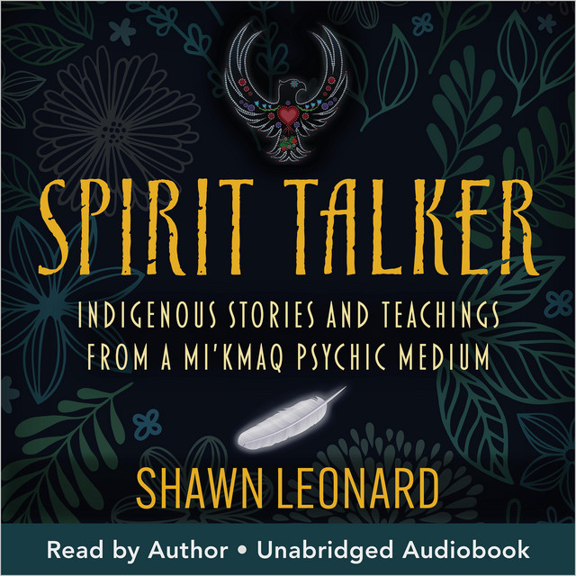 Spirit Talker | Audiobook on Spotify