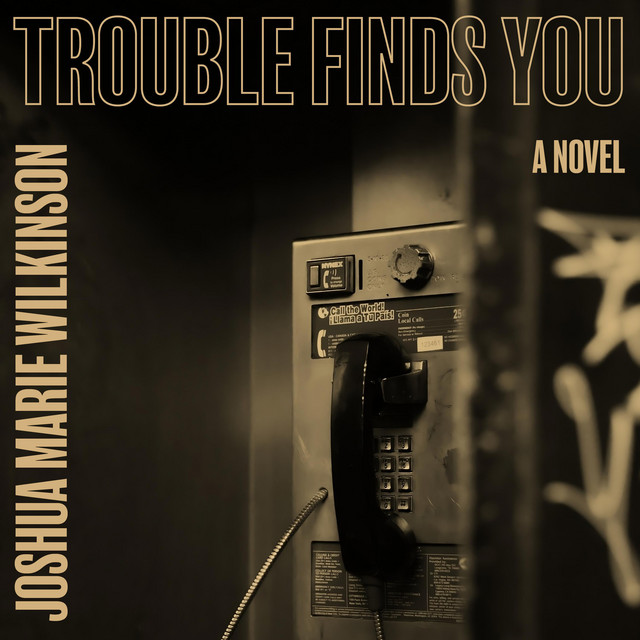Trouble Finds You | Audiobook on Spotify