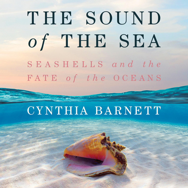 The Sound of the Sea: Seashells and the Fate of the Oceans | Audiobook ...
