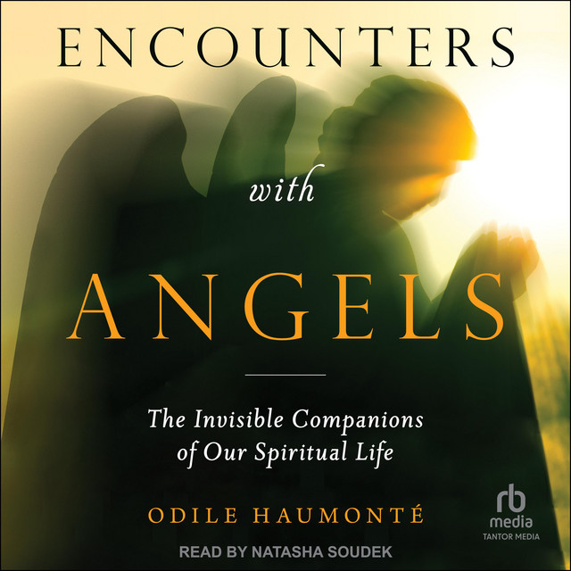 Encounters with Angels: The Invisible Companions of Our Spiritual Life ...