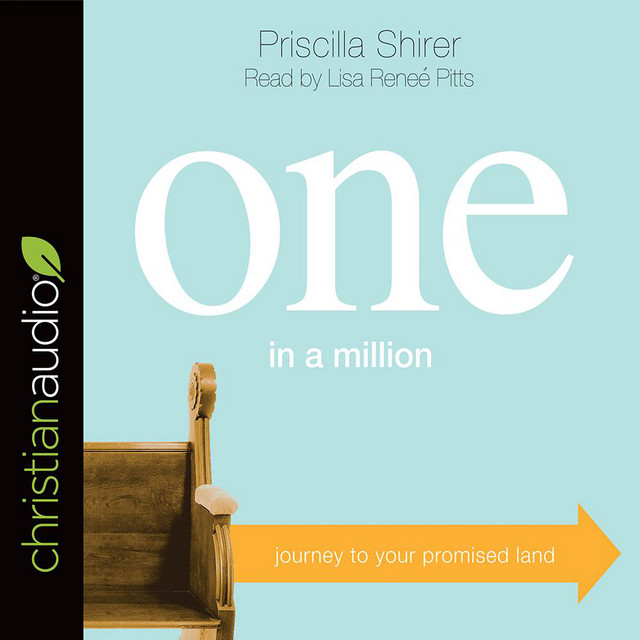 One in a Million: Journey to Your Promised Land | Audiobook on Spotify