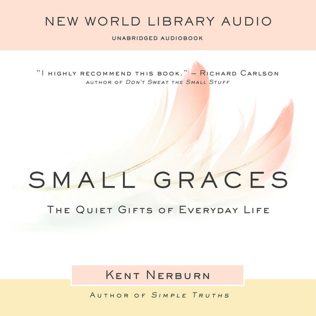 Small Graces: The Quiet Gifts of Everyday Life | Audiobook on Spotify