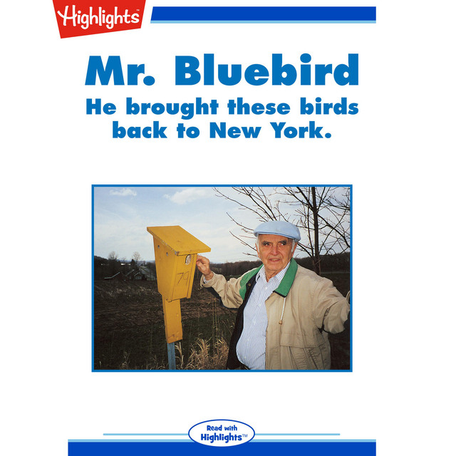 Mr. Bluebird | Audiobook on Spotify