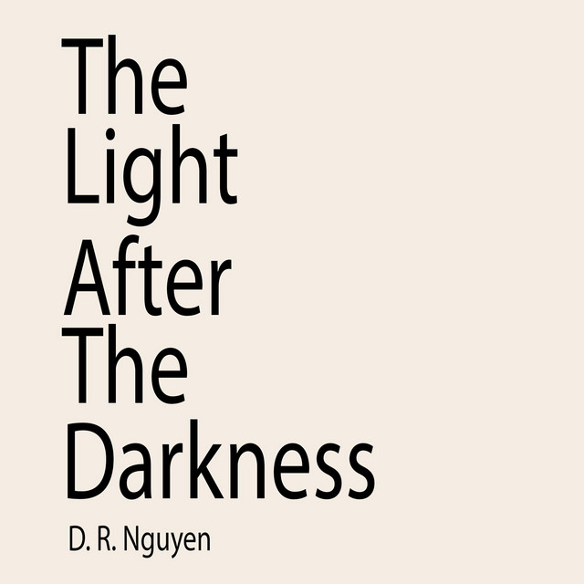 The Light After The Darkness | Audiobook on Spotify