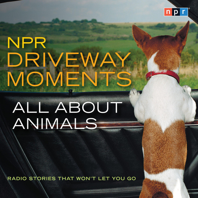 NPR Driveway Moments All About Animals: Radio Stories That Won't Let ...