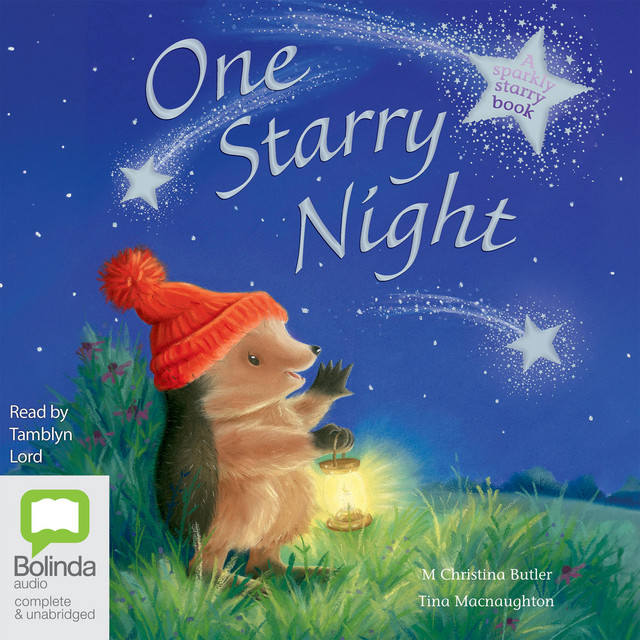 One Starry Night | Audiobook on Spotify