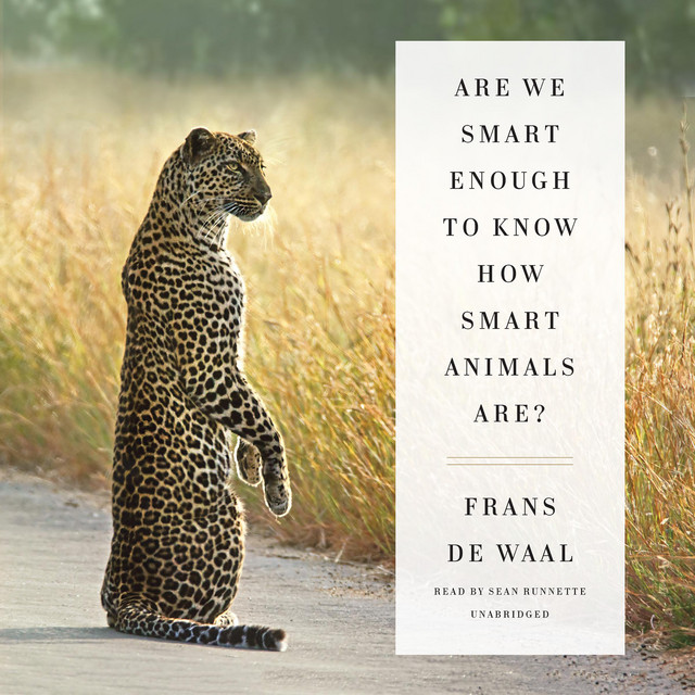 Are We Smart Enough to Know How Smart Animals Are? | Audiobook on Spotify