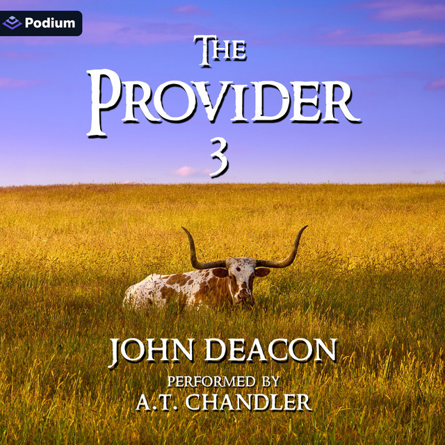 The Provider 3: The Provider Saga, Book 3 | Audiobook on Spotify