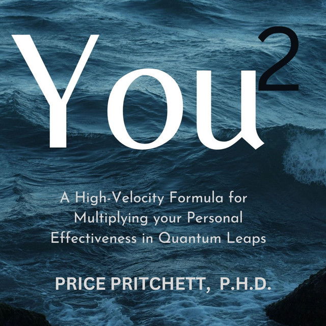 You 2: A High Velocity Formula for Multiplying Your Personal ...