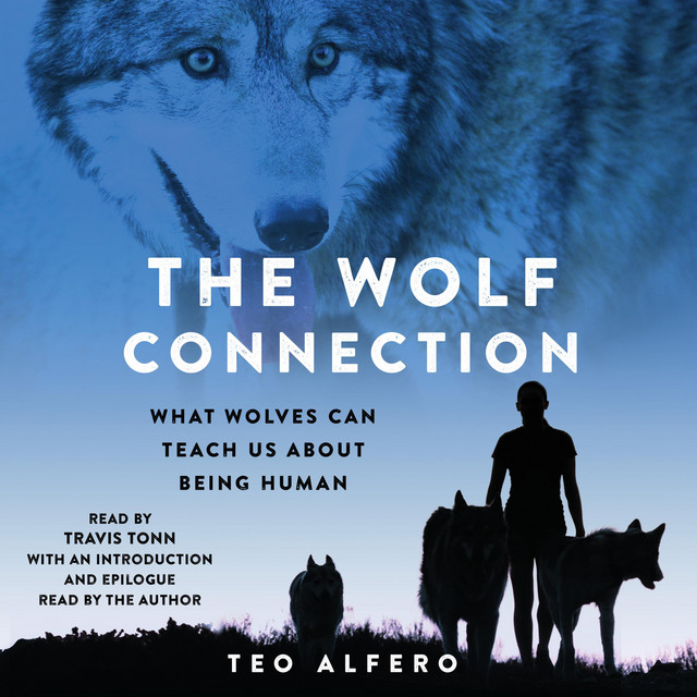 The Wolf Connection: What Wolves Can Teach Us About Being Human ...