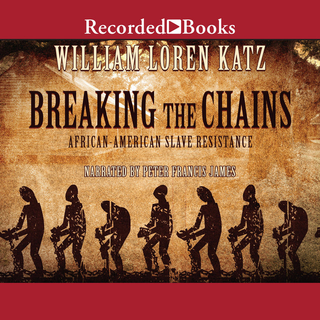 Breaking the Chains: African American Slave Resistance | Audiobook on ...