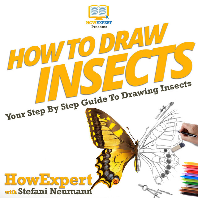 How To Draw Insects: Your Step By Step Guide To Drawing Insects ...