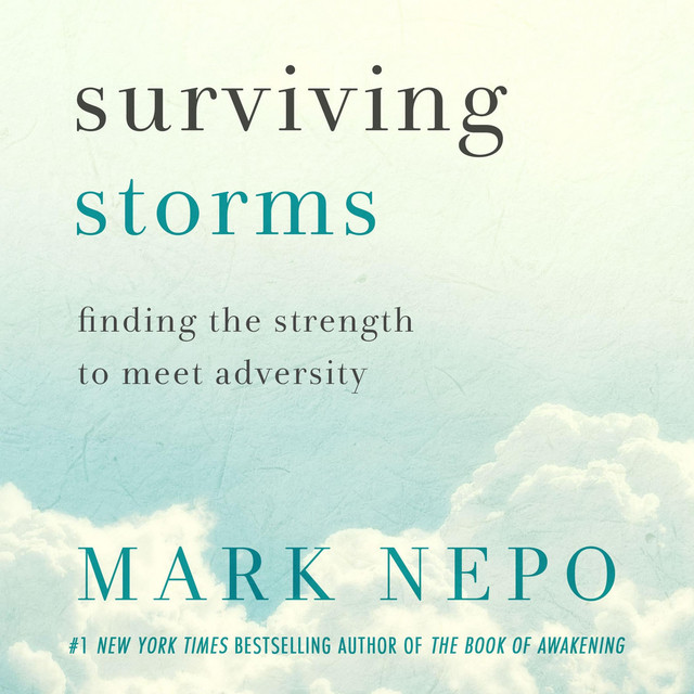 Surviving Storms: Finding the Strength to Meet Adversity | Audiobook on ...