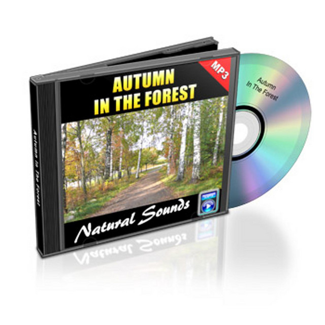 Autumn In The Forest - Relaxation Music and Sounds: Natural Sounds ...