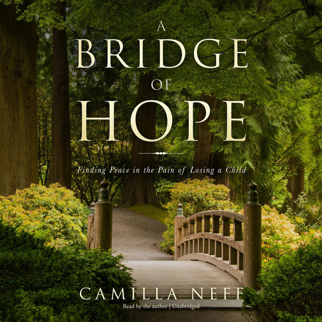 A Bridge of Hope: Finding Peace in the Pain of Losing a Child ...
