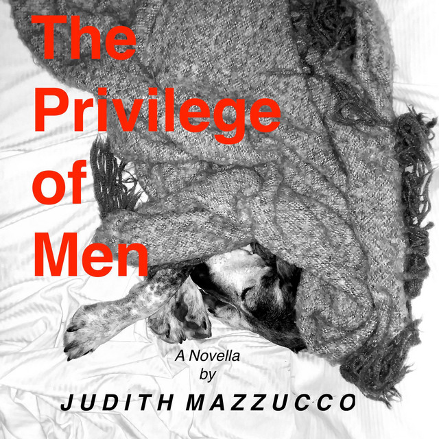 The Privilege of Men | Audiobook on Spotify