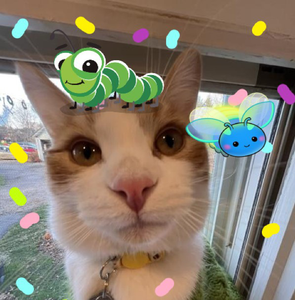 silly songs with bug - playlist by Sarah M. | Spotify
