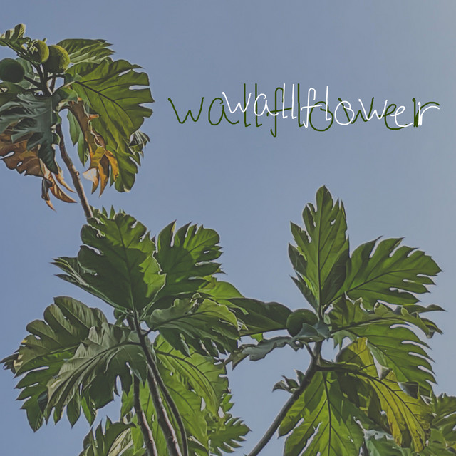 W A F O W E R Playlist By Cin Spotify