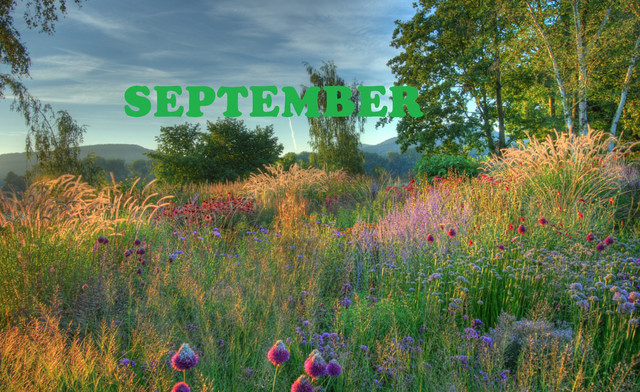 September - playlist by Angus Short | Spotify
