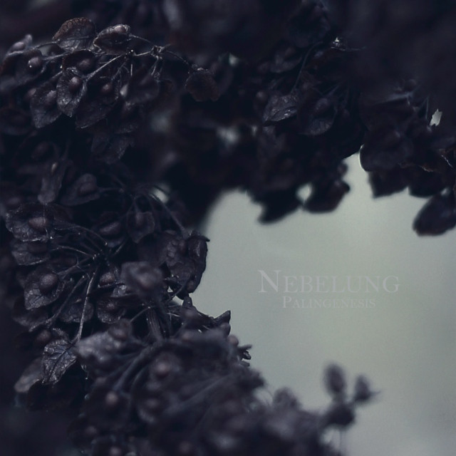 Dark Folk / Neofolk [50+ Tracks] - playlist by Özgür Konat | Spotify