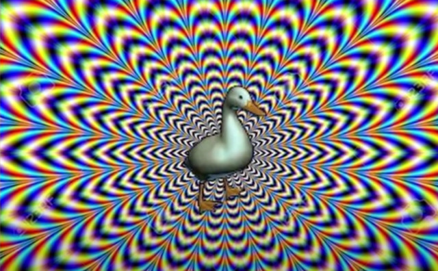 DUCK - playlist by Steve Smith | Spotify
