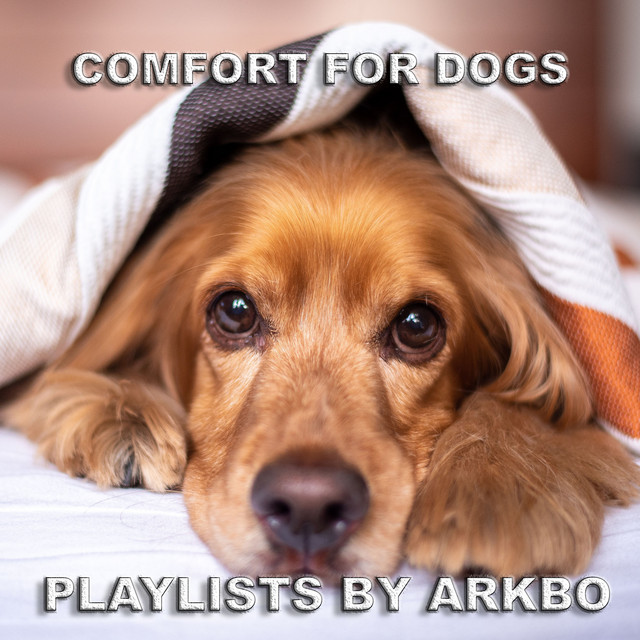 Comfort for Dogs - playlist by arkbomusicpublishing | Spotify