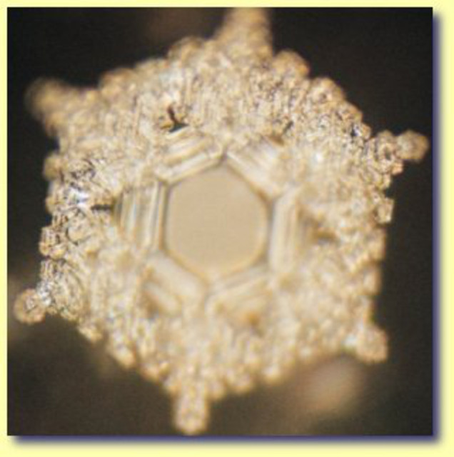 This is Masaru Emoto - Water Crystals - playlist by Joerg Werner | Spotify