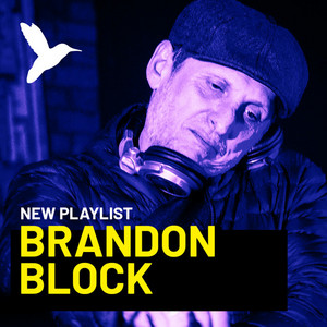 Brandon Block - playlist by wearehummingbird | Spotify