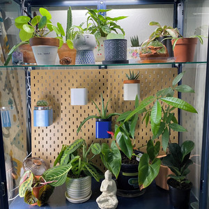 plant mom playlist🪴🌵🍄 - playlist by cadence | Spotify