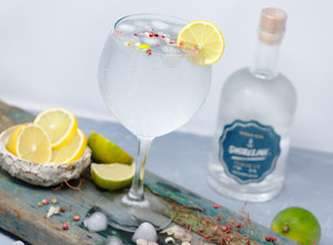 Music Gin Time - playlist by SHORELINE GIN | Spotify