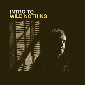 Intro to Wild Nothing - playlist by Jack Tatum | Spotify