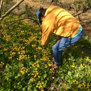 🐝 songs about bees - playlist by lara | Spotify